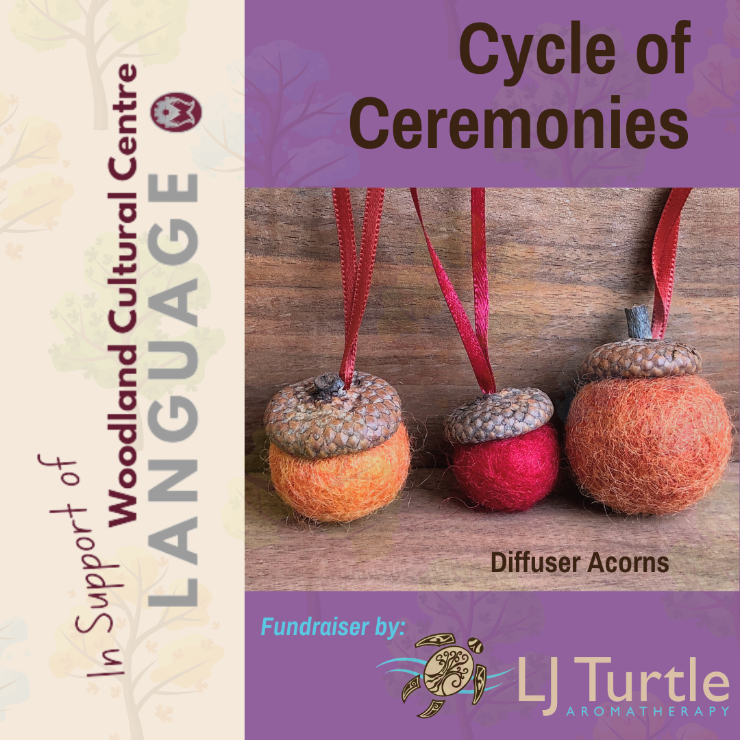 Lisa Byers/ LJ Turtle Aromatherapy Acorn Diffuser | Woodland Cultural ...